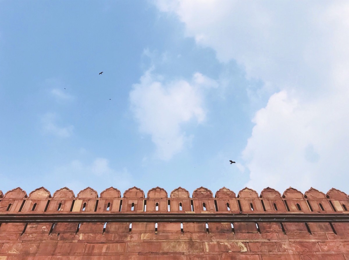 One Year Older, One Year Wiser – The International Educational ...