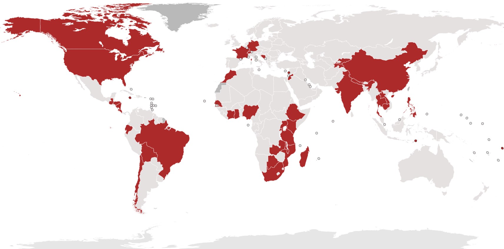 About the IEDP – The International Educational Development Program